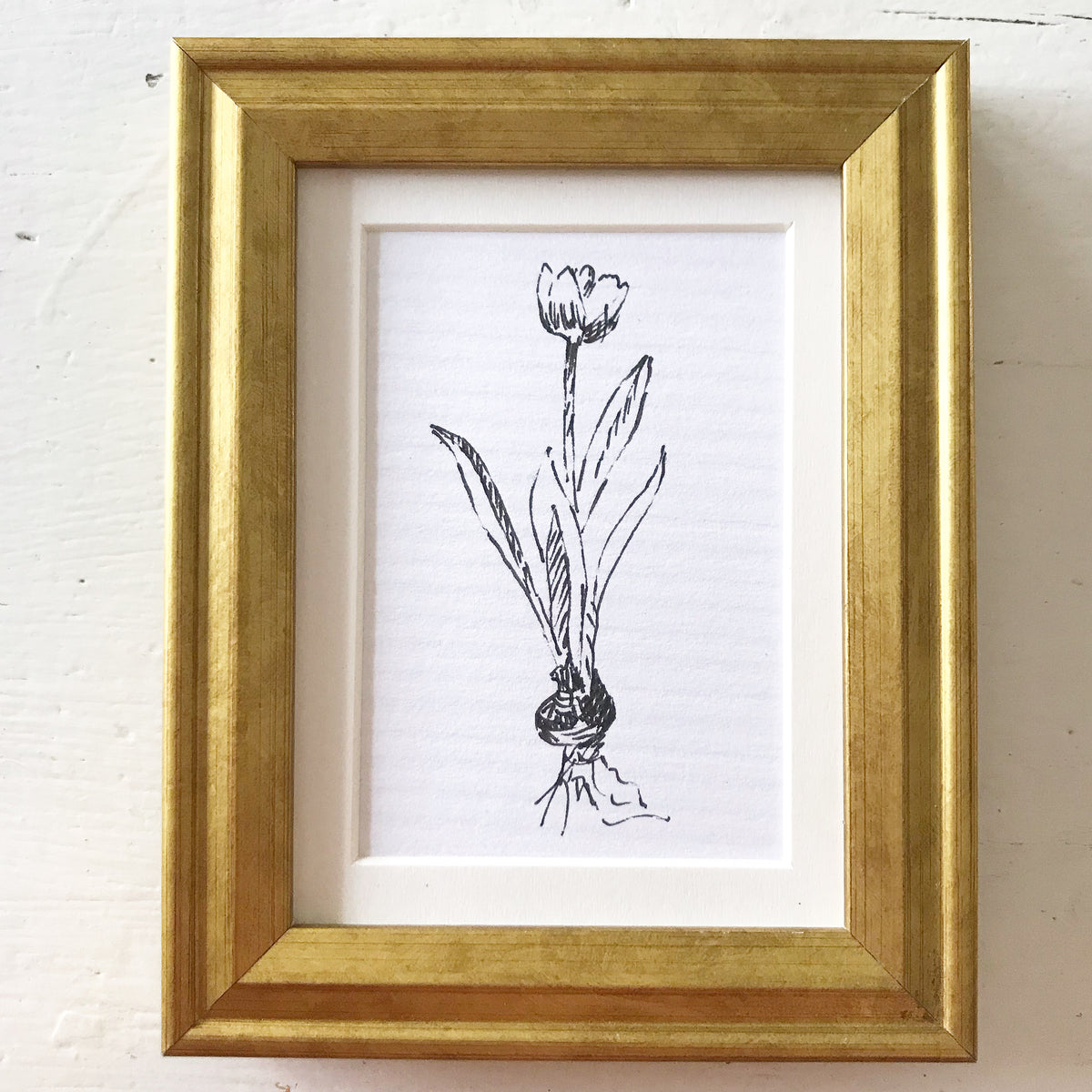 Tulip – Sarah Elizabeth Art